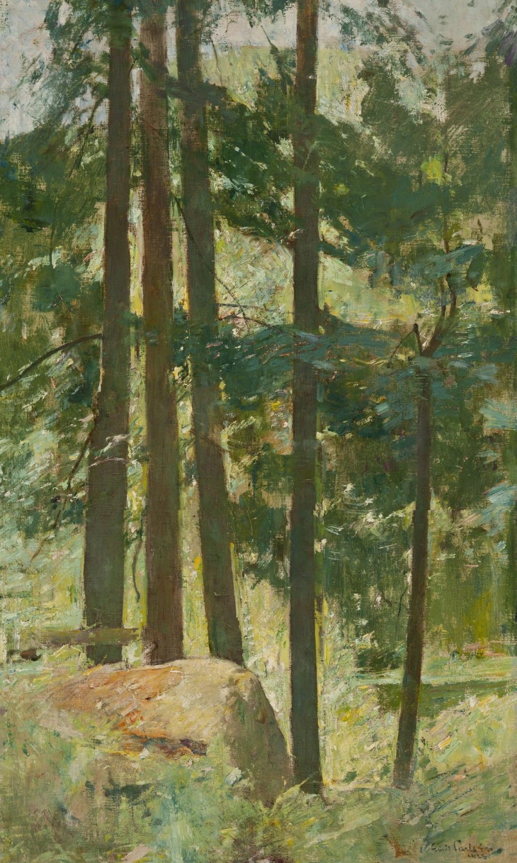 Emil Carlsen : White pine, 1928. – Emil Carlsen Archives