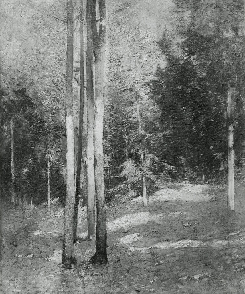 Emil Carlsen : Forest landscape, ca.1926. – Emil Carlsen Archives