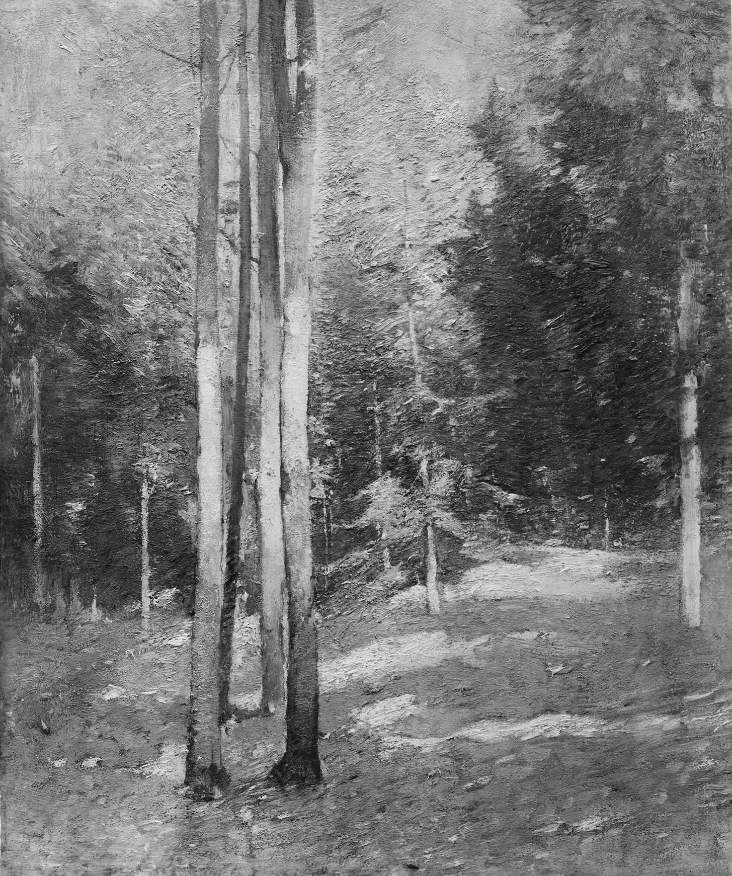 Emil Carlsen : Forest landscape, ca.1926. – Emil Carlsen Archives